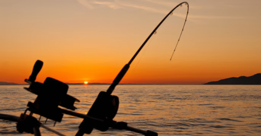 How to Cast a Fishing Rod: 5 Steps to Follow - FishingLad